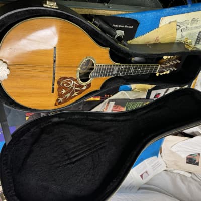 1920 Vega Cylinder Mandolin, Model 207, Presentation Model! | Reverb