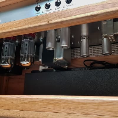 D-Tone Amps D-Tone Amps SSS head (Dumble Steel String Singer | Reverb