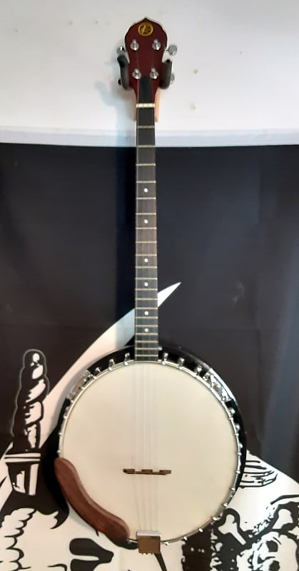 Kay Bicentenial 4 String Banjo 1976 Mahogany w/Eagle Graphics | Reverb
