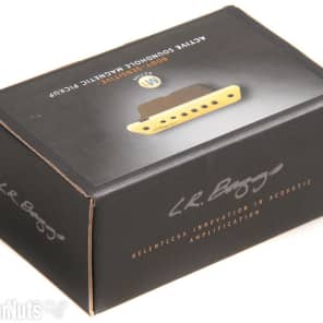 LR Baggs M1A Active Soundhole Pickup w/ Volume Control | Reverb
