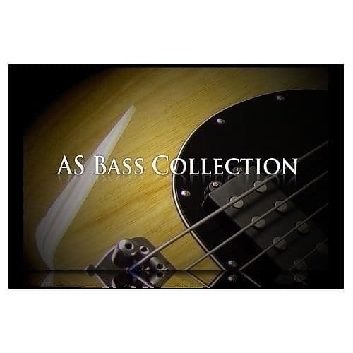 New AcousticSamples AS Bass Collection Mac/PC Software | Reverb