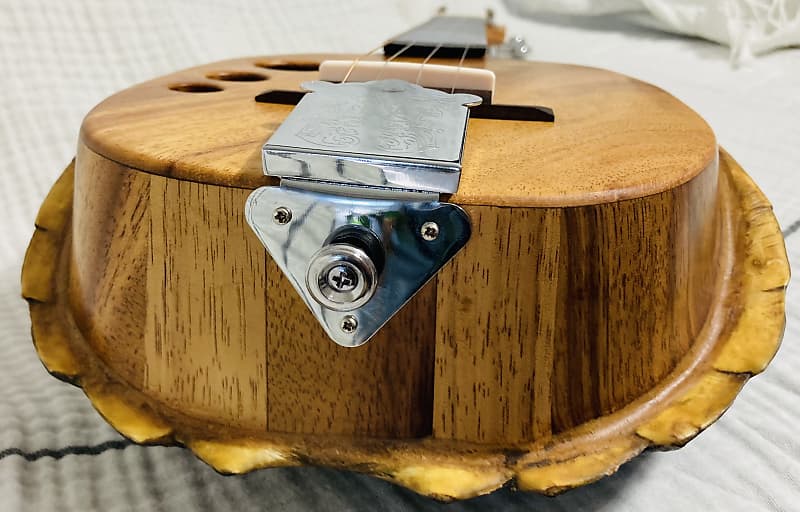 Turtle shell Concert guitar-monkey pod top | Reverb