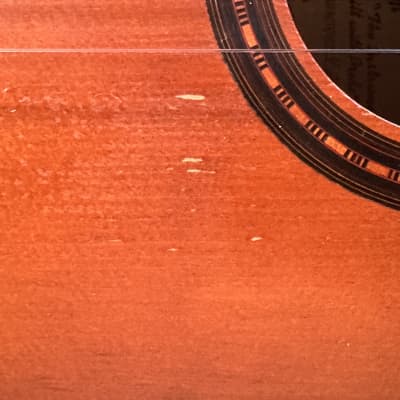 Gibson C-100 Nylon String 1971 | Reverb