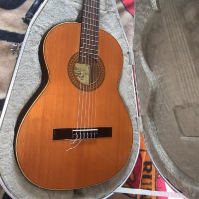 Raimundo Model 112 | Reverb