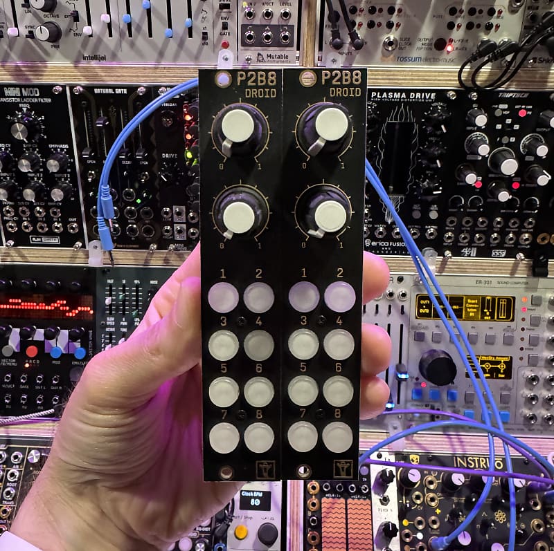 Der Mann mit der Maschine P2B8 Pair (X2) Eurorack Controller | Reverb
