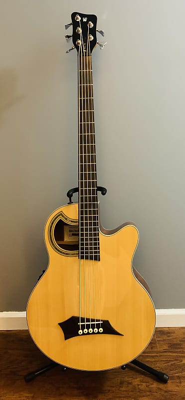 Warwick Alien Rockbass 5 string acoustic bass with bag | Reverb