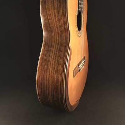 2010 David Pace "Double Top" Classical Guitar | Reverb