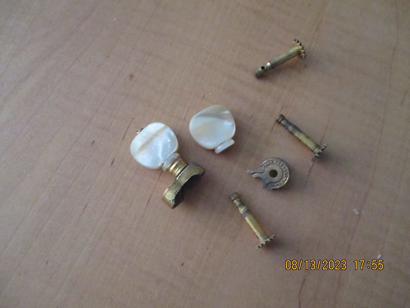 Mother of Pearl Banjo tuner buttons/parts. Genuine Mother of | Reverb