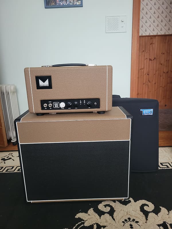 Morgan Amplification Sw50 Brown | Reverb