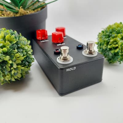 Ibanez EM5 Echo Machine clone HOLD Mod / Ambient Delay | Reverb UK