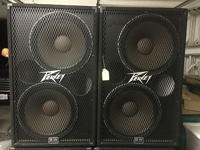 Peavey DTH SUB Concert SubWoofer Speakers (Pair) | Reverb