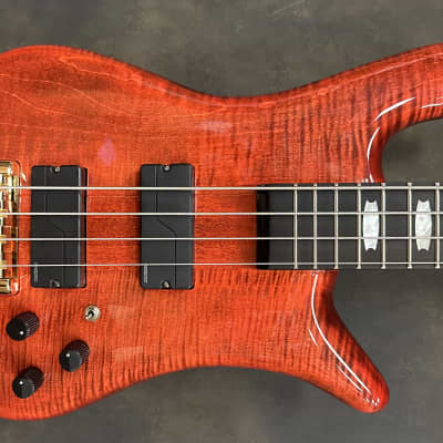 Spector Euro LT Rudy Sarzo - Scarlett Red Gloss | Reverb