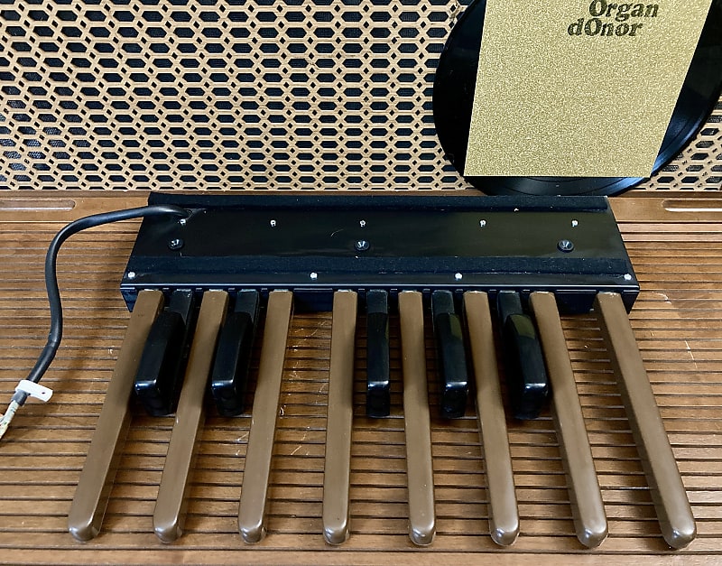 13 notes Farfisa bass pedal / Compact Duo Deluxe DIY MIDI | Reverb