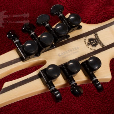 B.C. Rich Andy James Signature Assassin 7 with Evertune Satin | Reverb