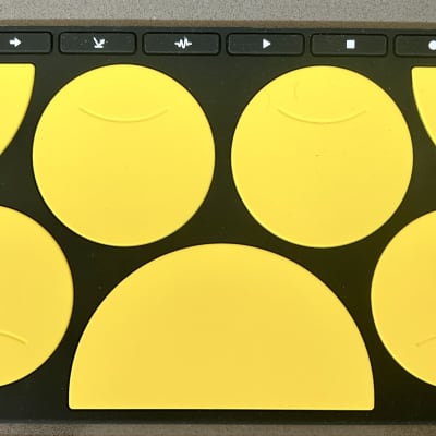 Sensel Morph MIDI Controller With Multiple Overlays | Reverb