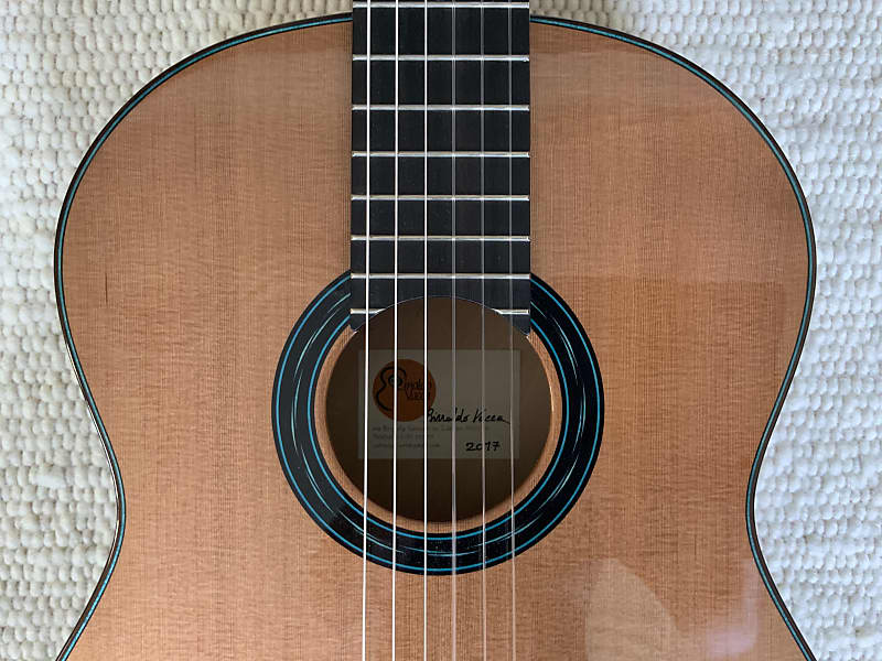 Rinaldo Vacca 2017 | Reverb