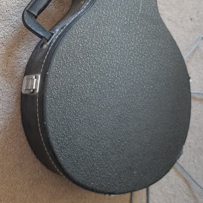 Samick SM20E Electric/Acoustic Mandolin Early 1990s - | Reverb UK