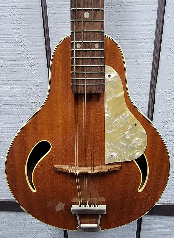 Hofner Mandolin | Reverb