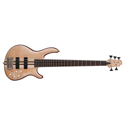 Cort Artisan Series A6 6-String Electric Bass, Open Pore | Reverb