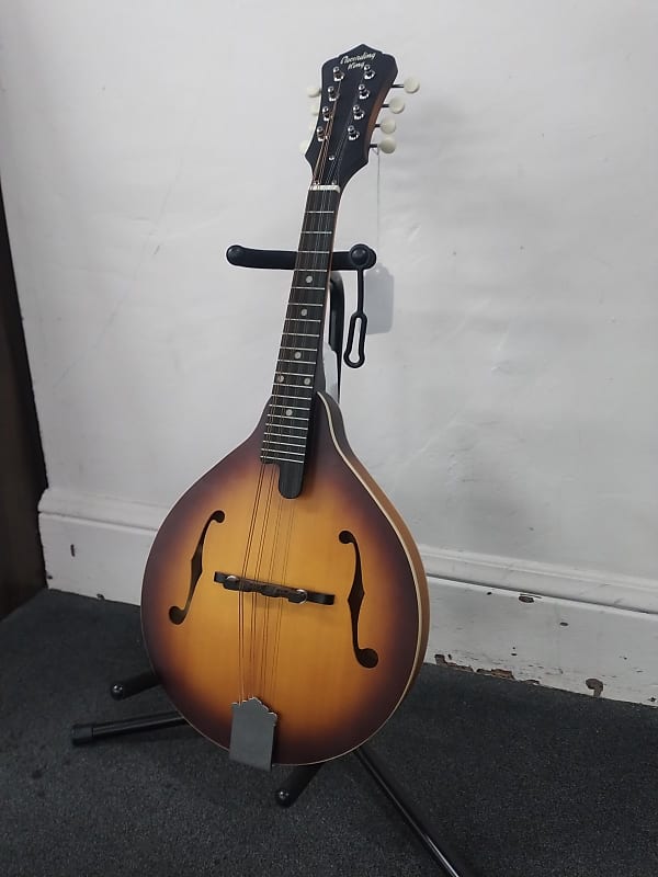 Recording King A Solid Top RAM-3-TS Mandolin in Tobacco | Reverb