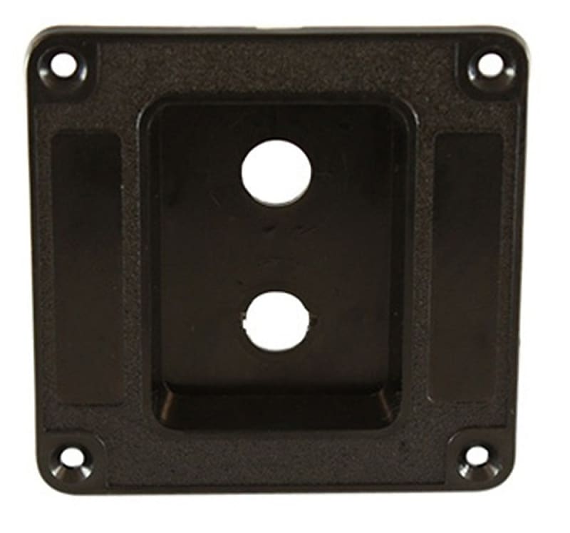 Plastic Dual Jack Plate For Amps | Reverb