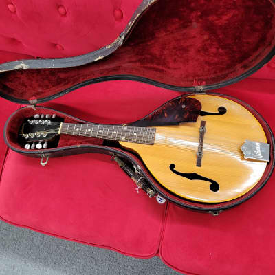 1960s Del Vecchio Brazilian Resonator Mandolin (VIDEO! Ready | Reverb