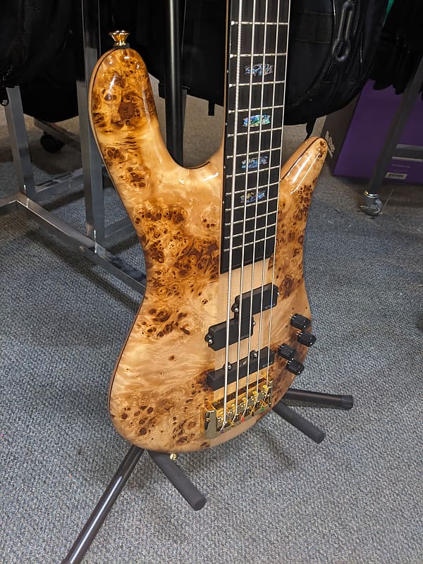 Spector Euro 5 CST 2025 - Natural Gloss | Reverb