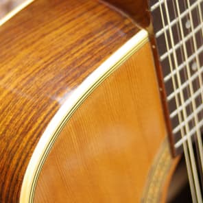 Stunning 1975 Alvarez 12-String Model 5054 Price Drop! | Reverb