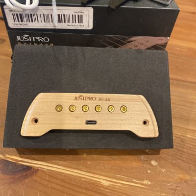 Justpro Jc-a2 2020s - pickup and condenser mic combo Natural | Reverb