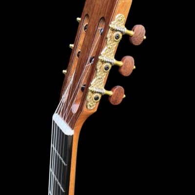 2024 Ivan Escobedo CD/IN Concert | Reverb