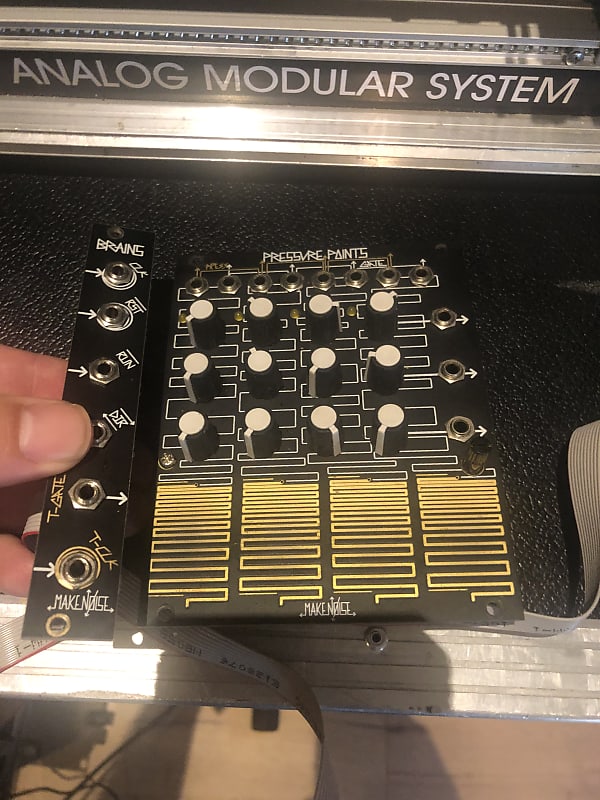 Make Noise Pressure Points + Brains | Reverb