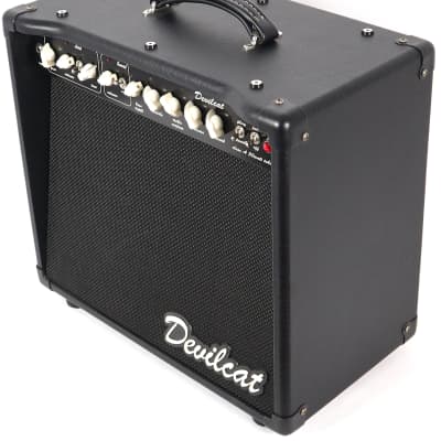 Devilcat Packer Guitar Amplifier 30W 1x12" Tube Combo w/ | Reverb