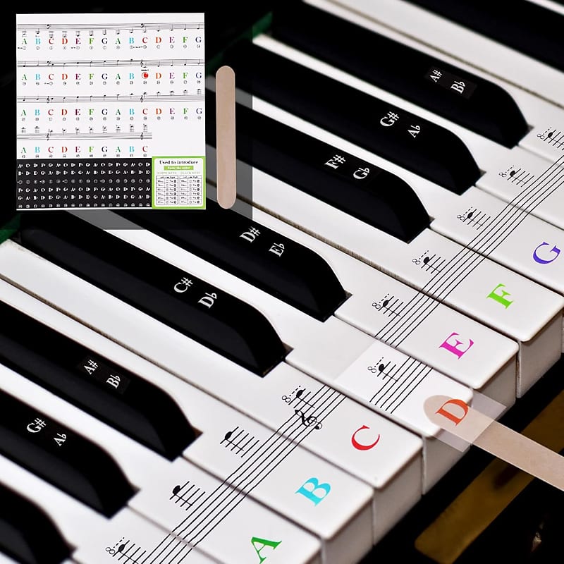 Piano Keyboard Stickers 88/76/61/54/49/37 Keys,Removable | Reverb