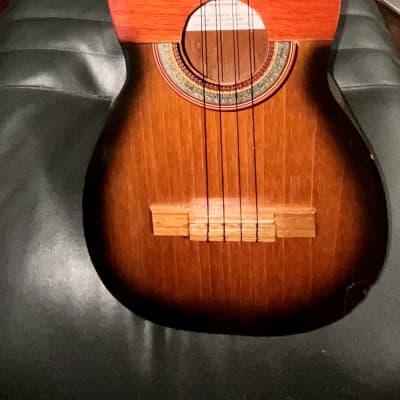 10 String Puerto Rican Cuatro Guitar, W/3 Band EQ | Reverb