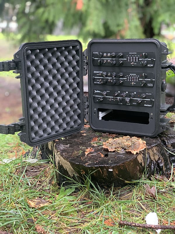 Burns Delta Model 4 Slot Case, Black, Synergy Randall Egnater | Reverb