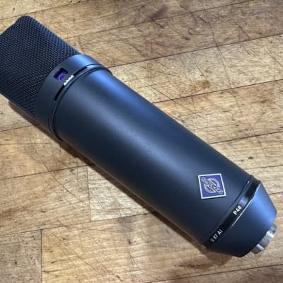 Neumann U87 Head - Nickel Mesh Cage, KK870 Capsule, Capsule | Reverb