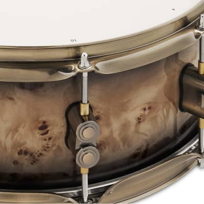 PDP PDLT5514SSMB 5.5x14" Mapa Burl Snare Drum | Reverb