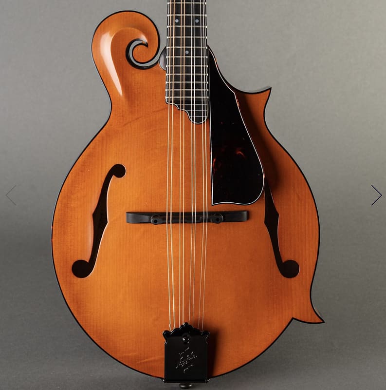 Northfield NFB-F5A 2023 - Amber | Reverb