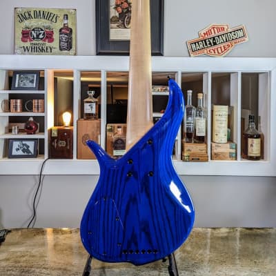 F Bass BN6 Deluxe: 33" Scale, Matching Ramp, Transparent Blue | Reverb