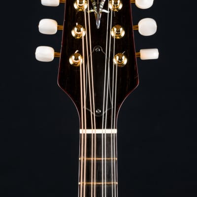 Pava A5 Pro Honey Amber Adirondack Spruce and Quilted Maple | Reverb