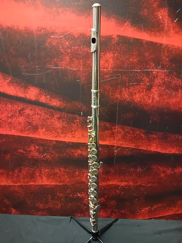 Ida Maria Grassi Flute (White Plains, NY) | Reverb