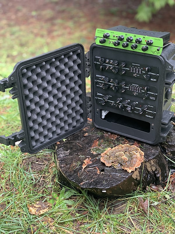 Burns Delta Model 4 Slot Case, Black, Synergy Randall Egnater | Reverb