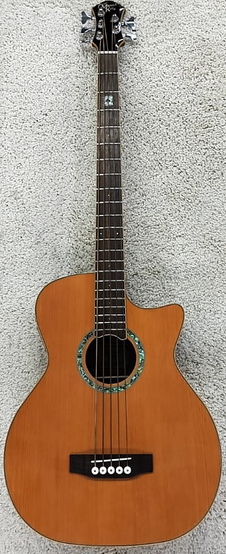 Michael Kelly Club Custom 5 string acoustic bass with | Reverb