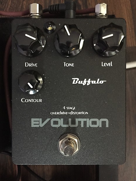 Buffalo FX Evolution | Reverb