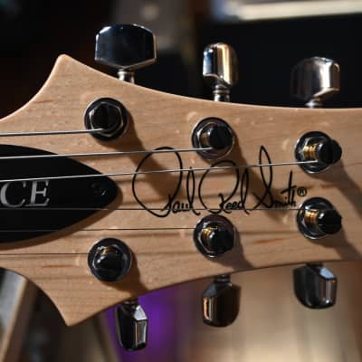 PRS Wood Library CE 24 Semi-Hollow Quilt - Tortoise Shell | Reverb