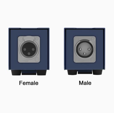 Dynamic Microphone Preamp DMP 2021 Blue | Reverb France