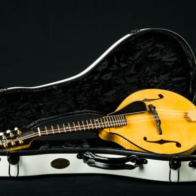 Pava A5 Pro Honey Amber Adirondack Spruce and Quilted Maple | Reverb