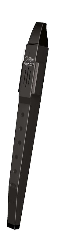 Carry-on Digital Wind Instrument | Reverb