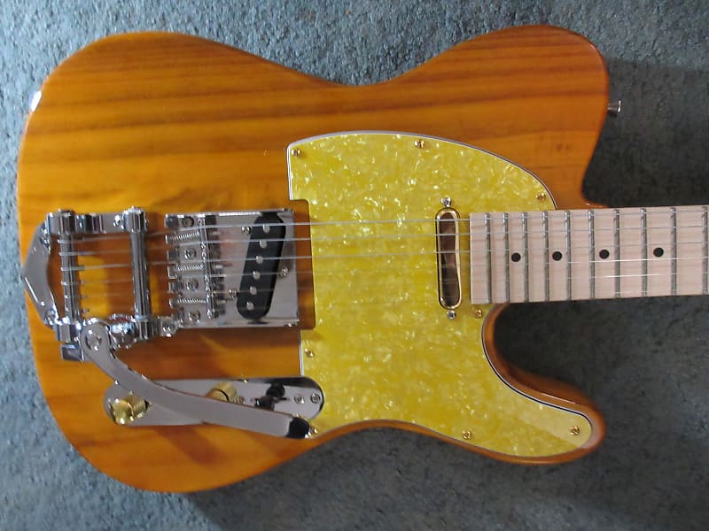 ~Cashner~ TeleCaster-Style w/Whammy | Reverb