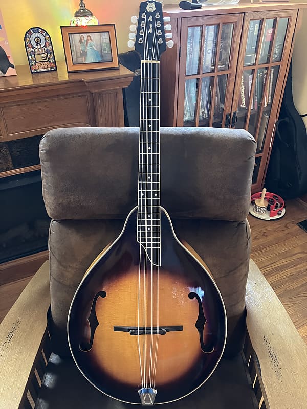 Pango Mandocello | Reverb UK